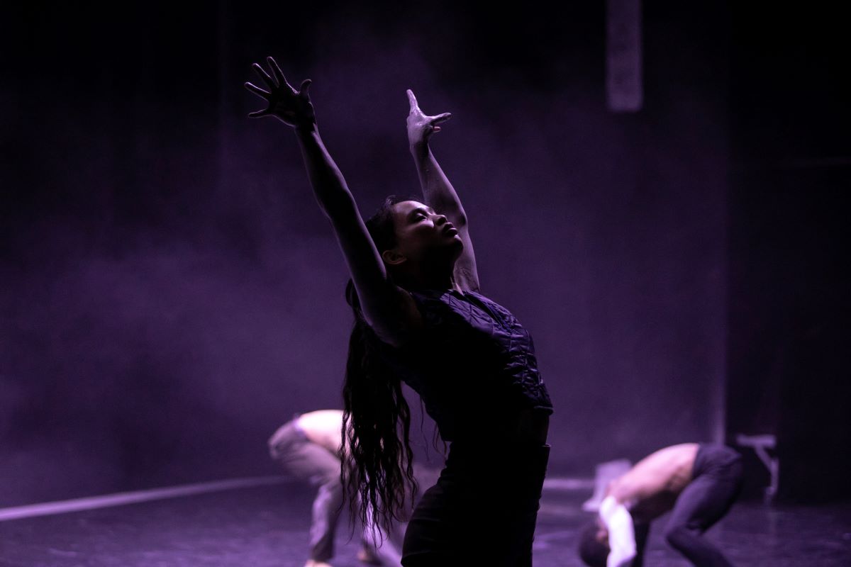 Ultima Vez: Prorůst ke kořenům